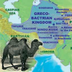 Ancient Coins | Indian Old Coins | Rare Historical Coins | Mintage World