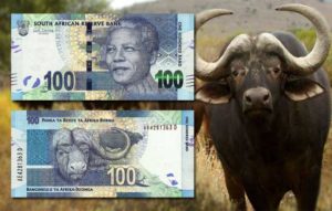 South African Big Five on banknotes - Blog | Mintage World