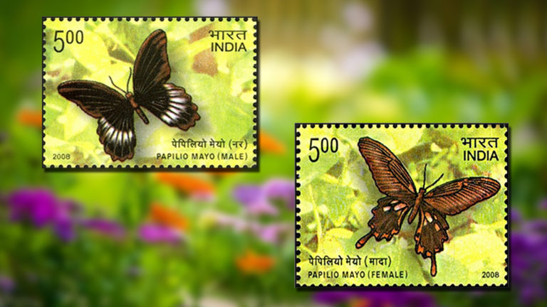 Stamps of India Featuring Butterflies - Blog | Mintage World