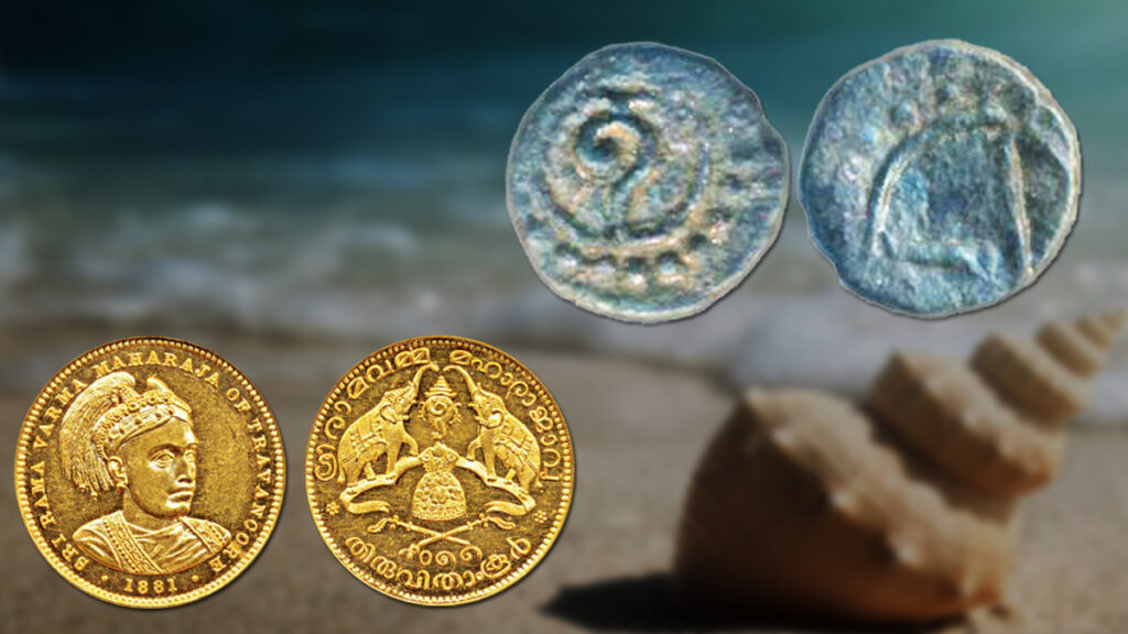 Conch Shell Vintage coins: An illustration of Marine Treasure - Blog ...